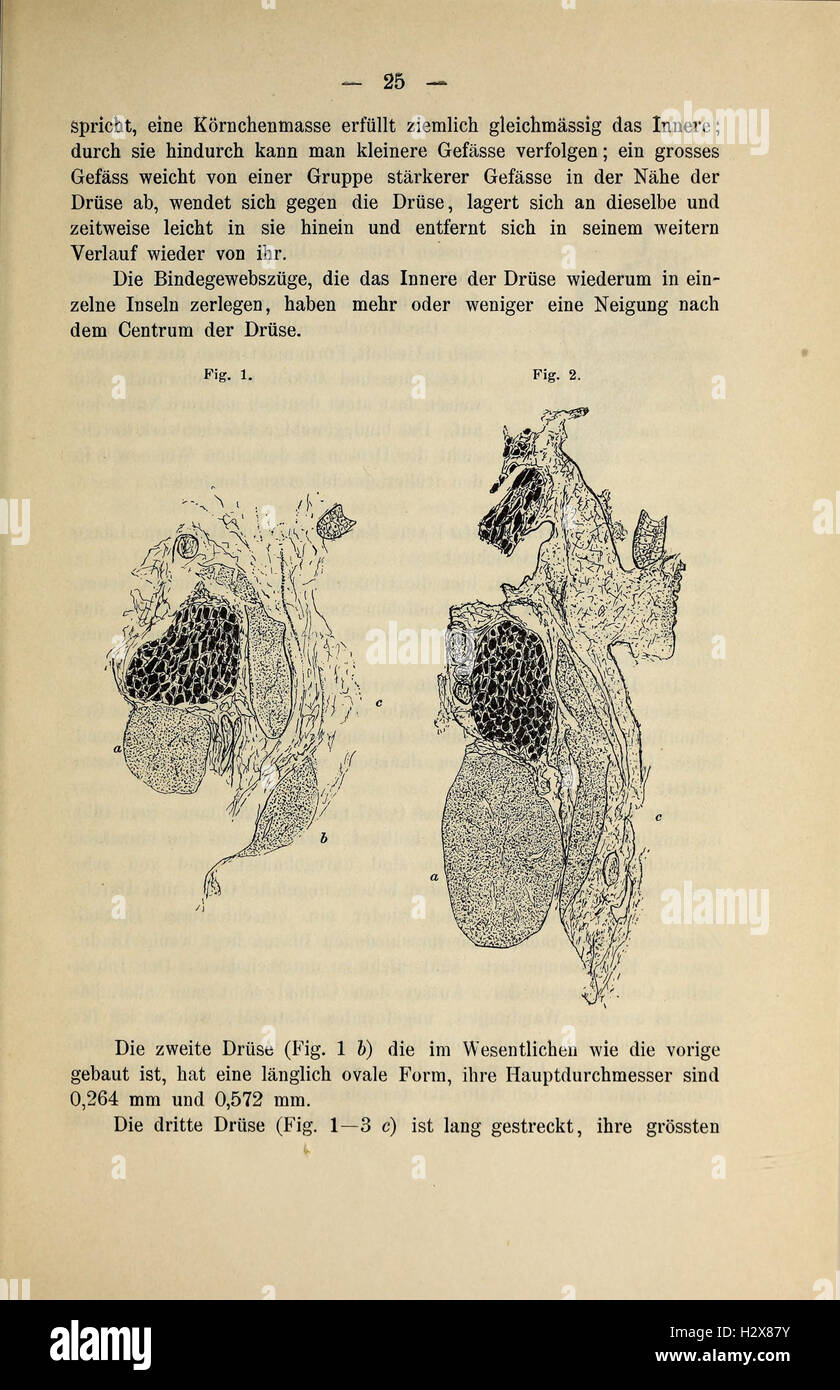 This work examines the thyroid and thymus glands of amphibians ...