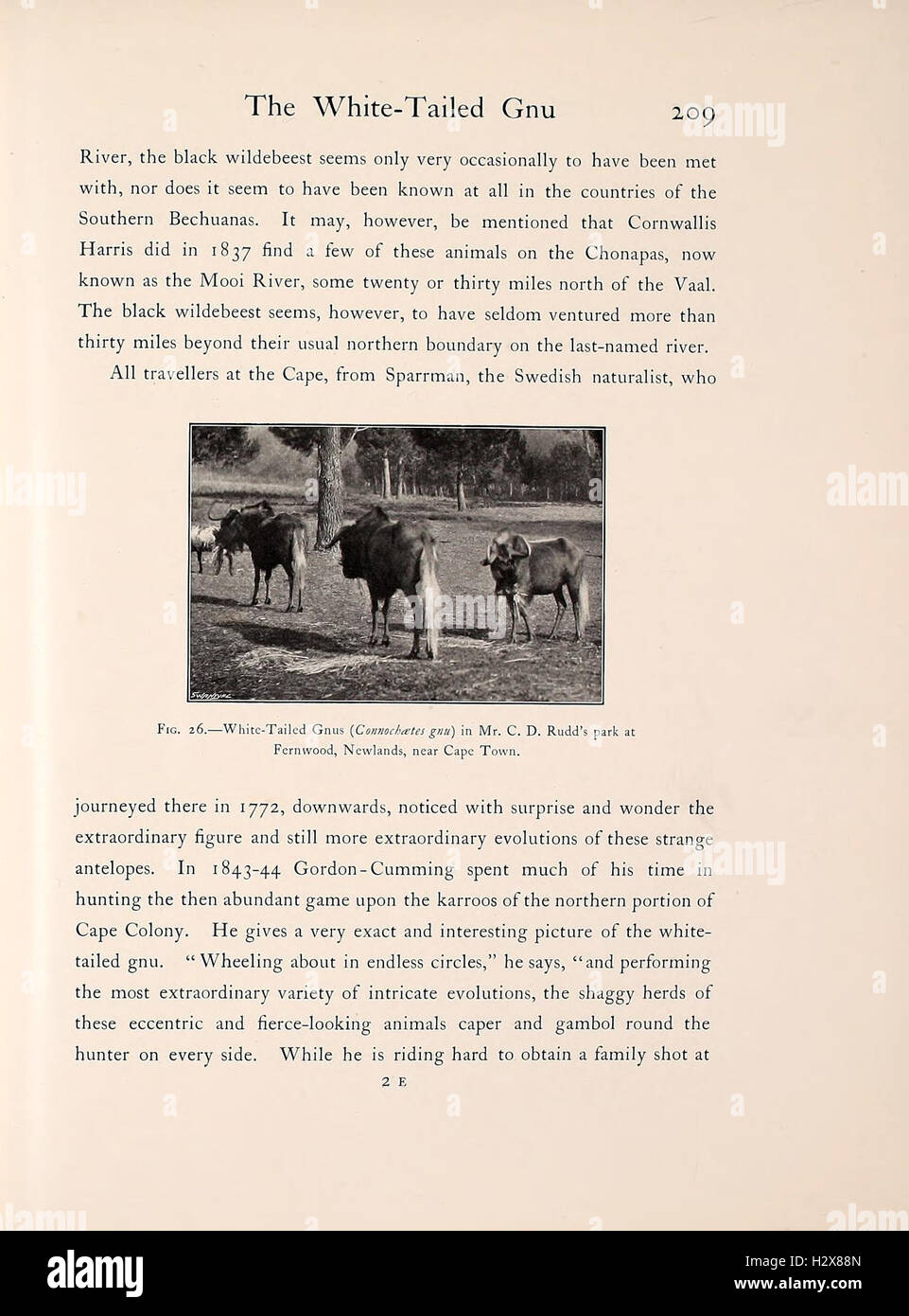 An illustrated guide to the great and small game species of Africa ...