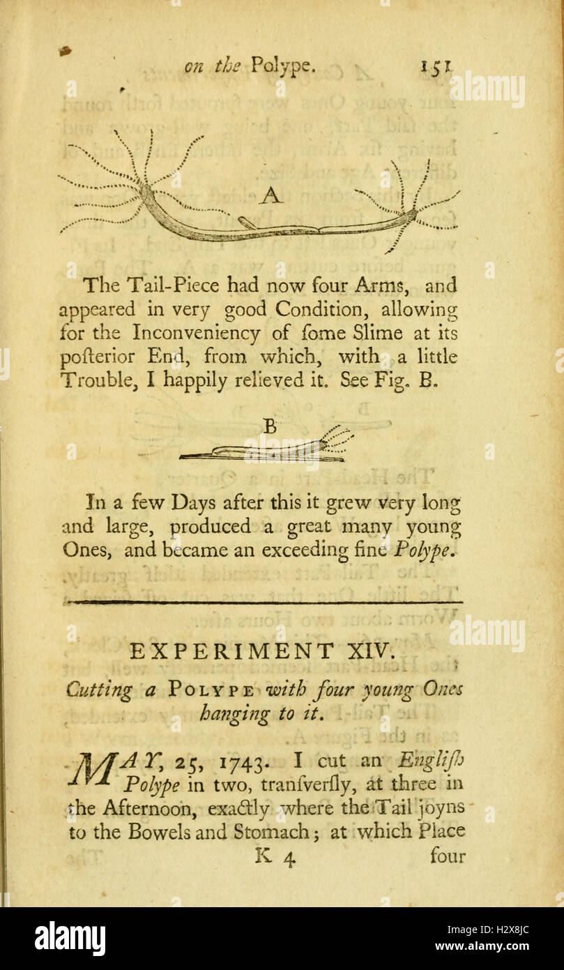 This work presents a natural history of the polype, describing its ...