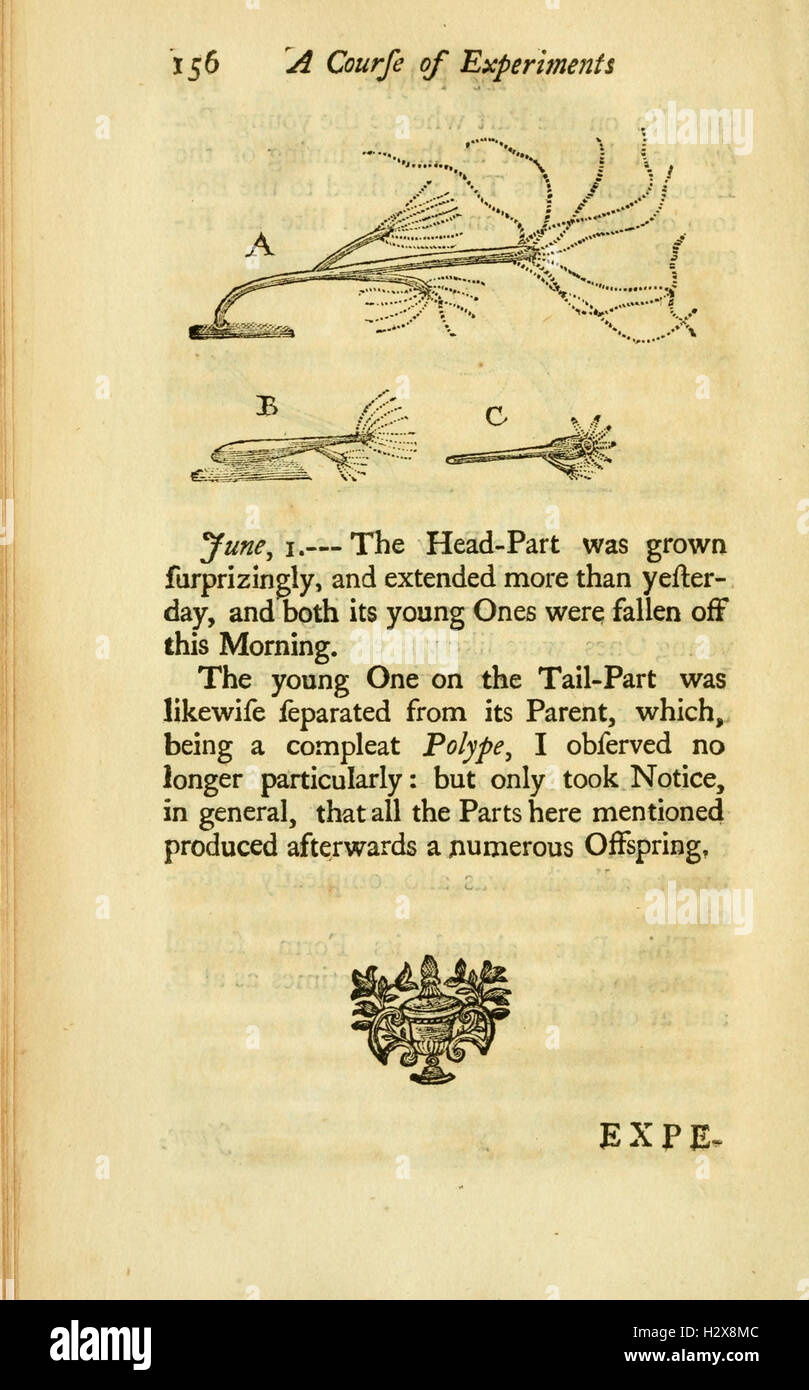 This work explores the natural history of polyps, examining their ...