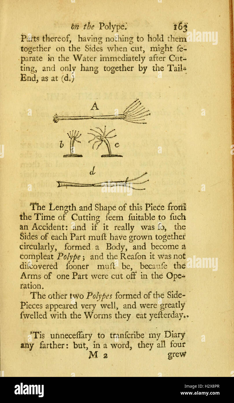 This work explores the natural history of the polype, focusing on its ...