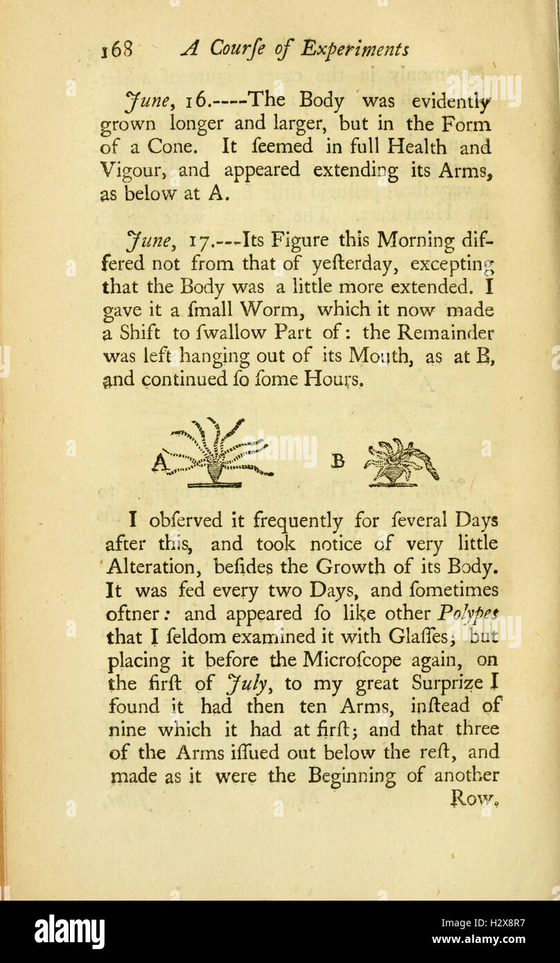 This work explores the natural history of the polype, providing ...