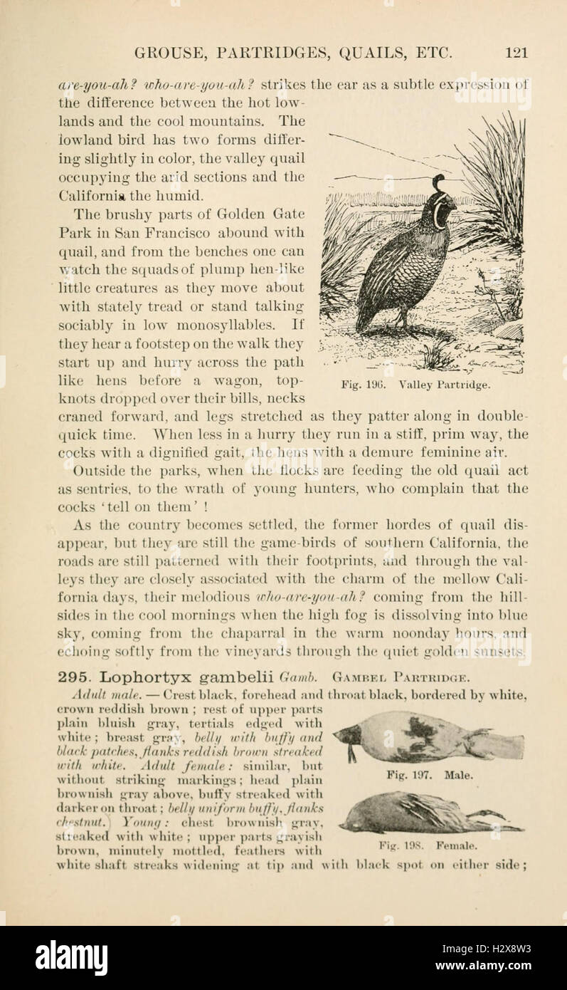 A comprehensive guide to the birds of the western United States ...