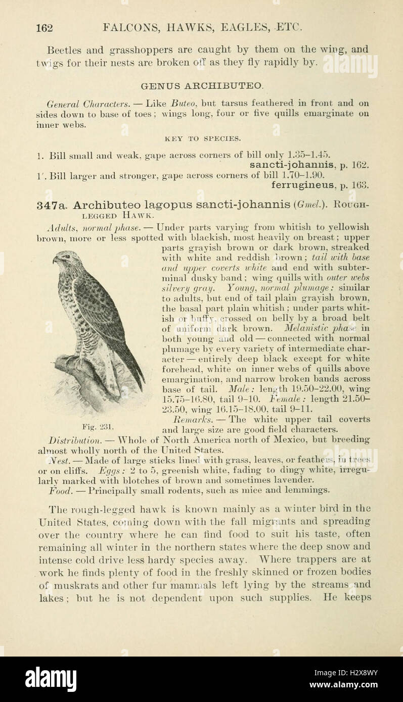 A comprehensive guide to bird species native to the western United ...