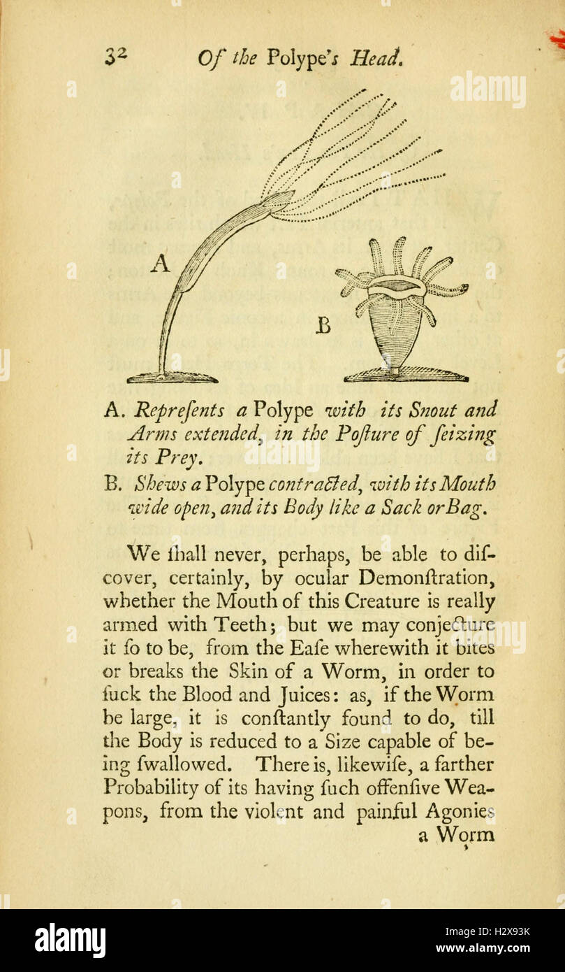 This work aims to document the natural history of the polyp, examining ...