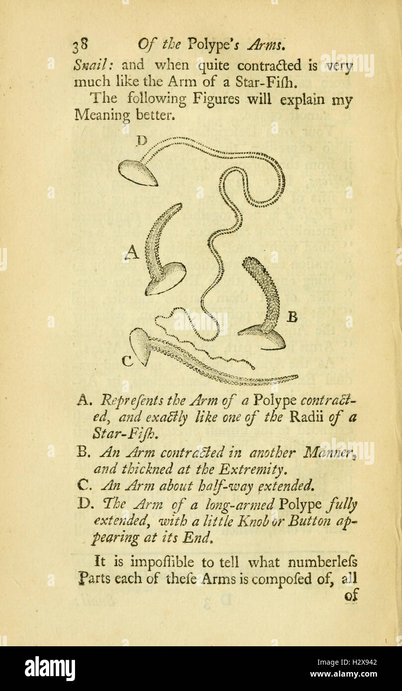 This work provides an early study on the natural history of polyps ...
