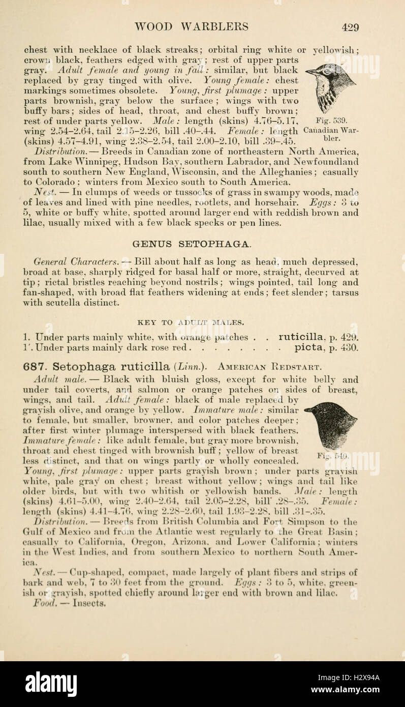 This comprehensive guide focuses on the birds found in the western ...