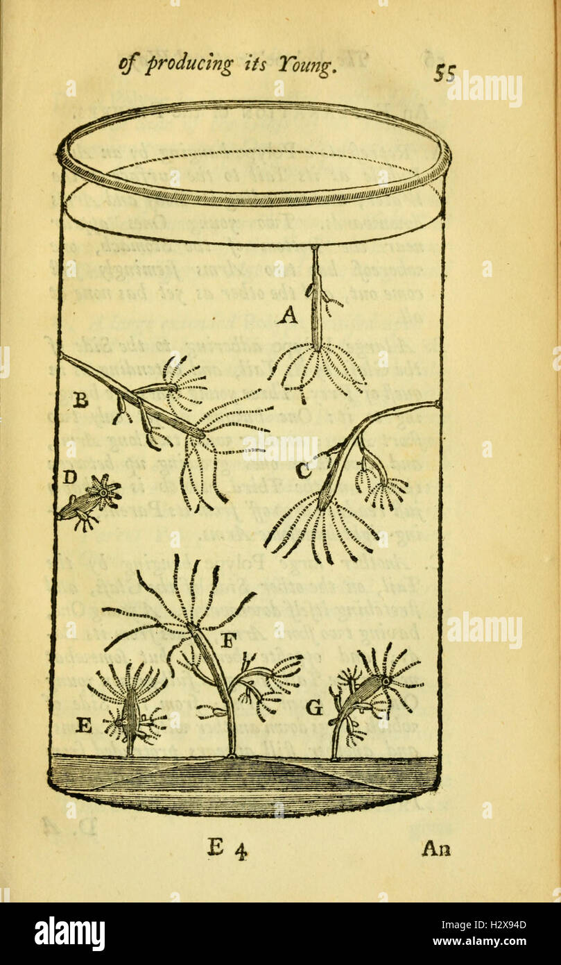 'An Attempt Towards a Natural History of the Polype' provides a ...