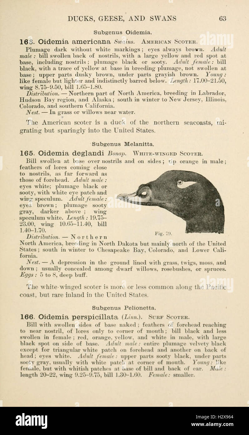 This handbook provides detailed descriptions of bird species native to ...