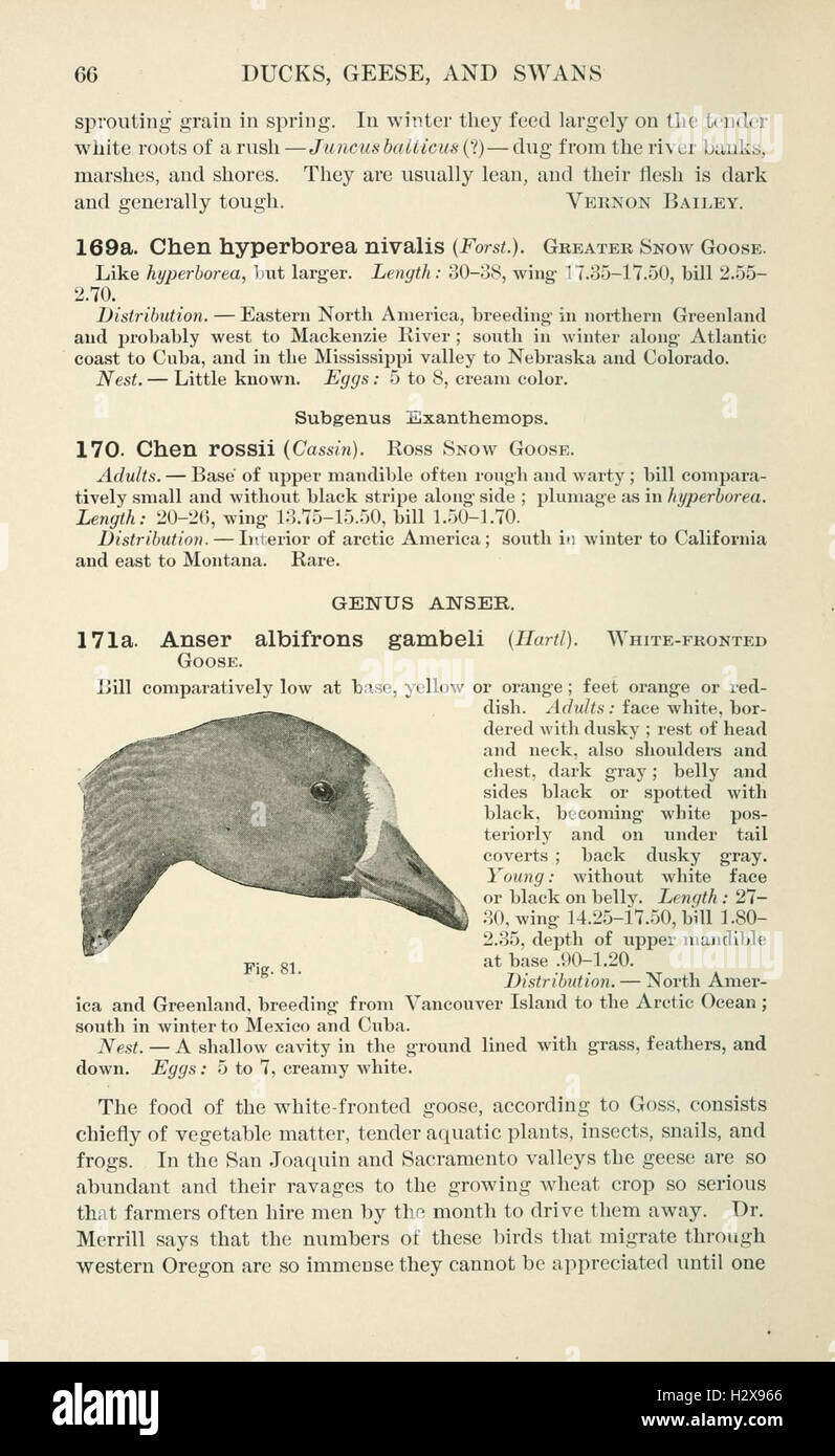 This comprehensive guide provides detailed information on bird species ...