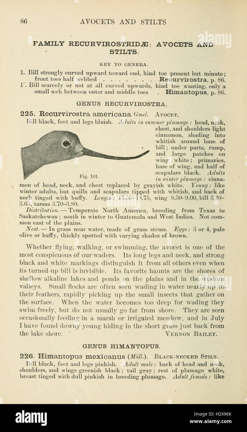 A reference guide to the bird species found in the western United ...