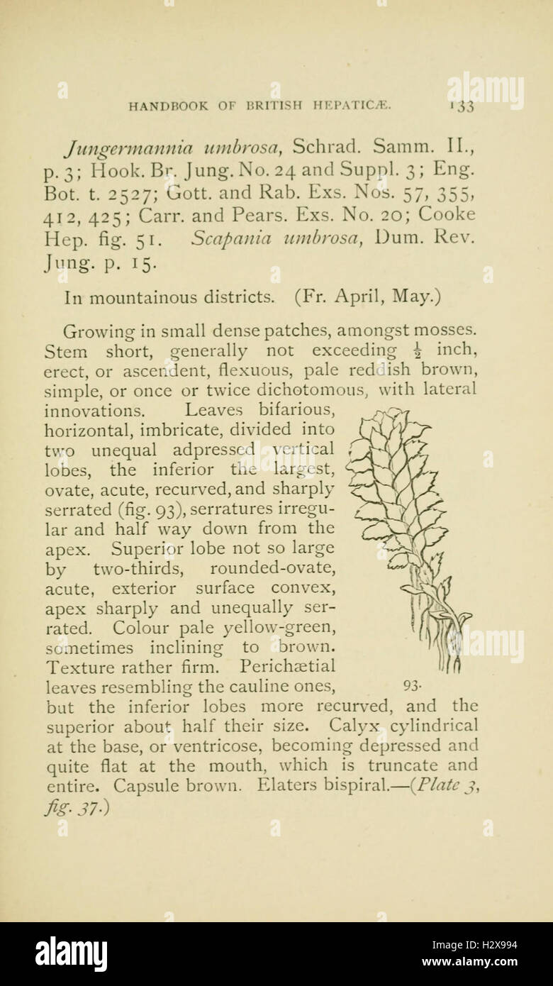 A botanical guide detailing indigenous species of liverworts in Britain ...