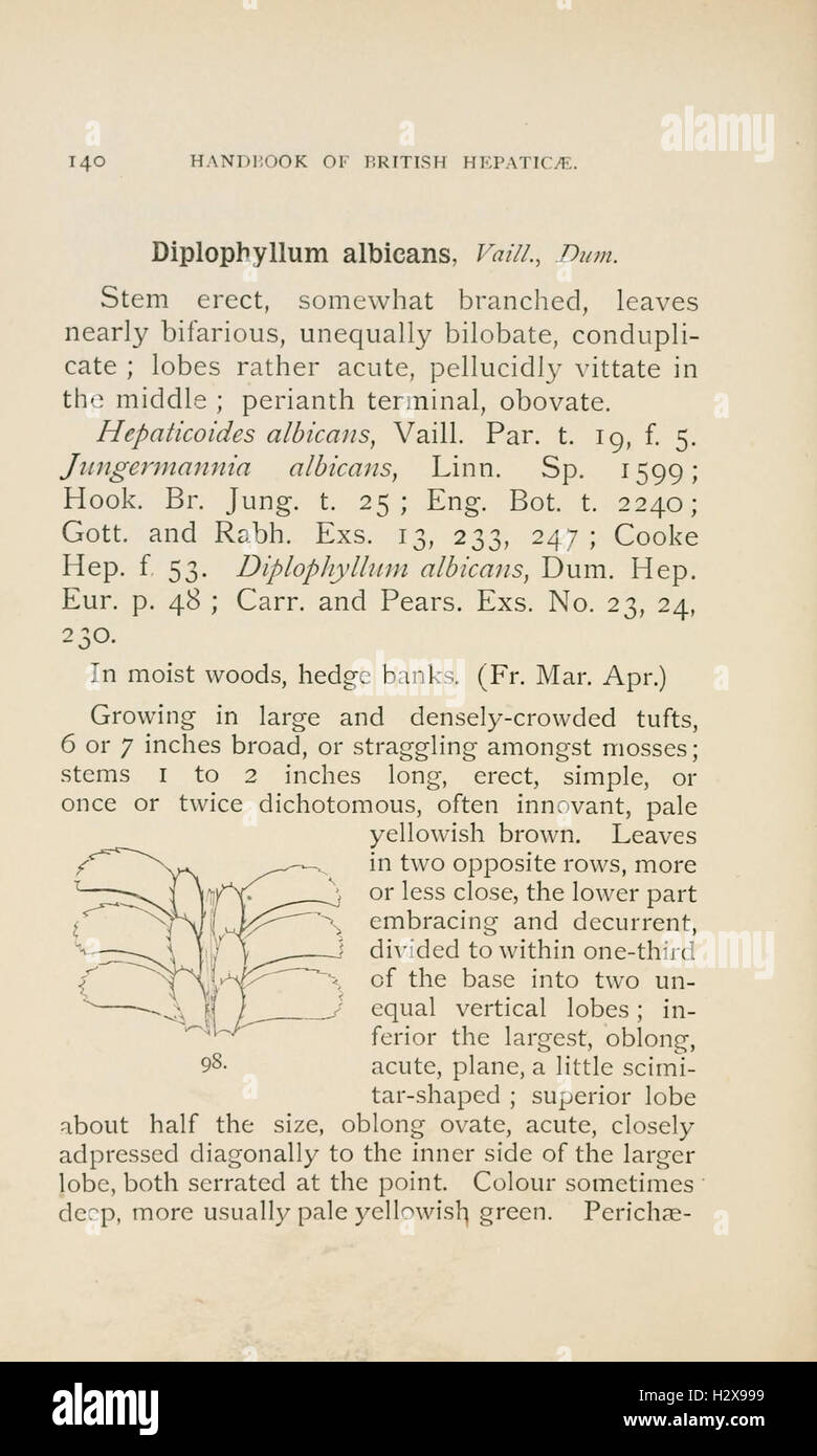 A comprehensive guide to the indigenous liverwort species of the UK ...
