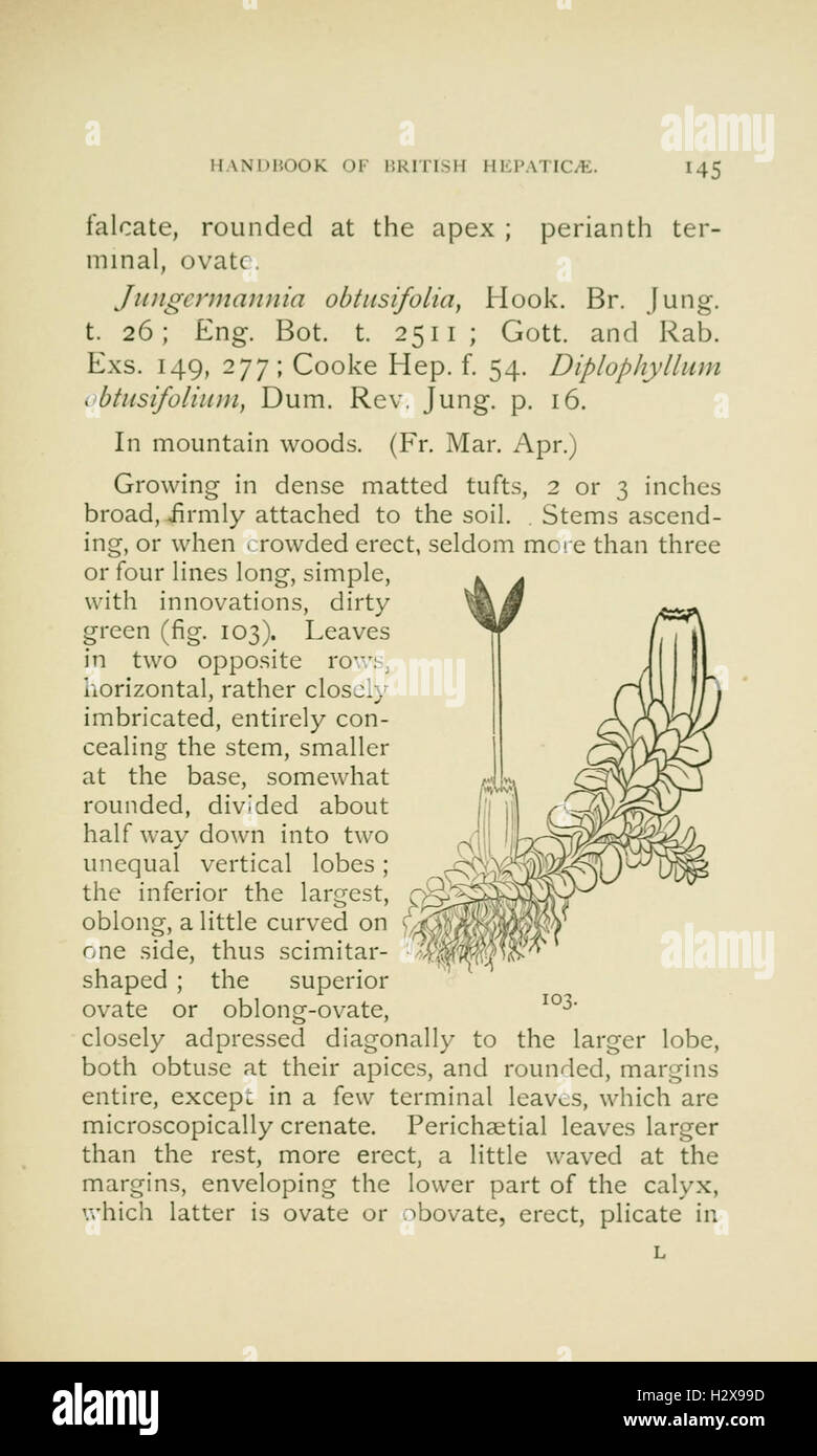 This handbook provides descriptions and illustrations of indigenous ...