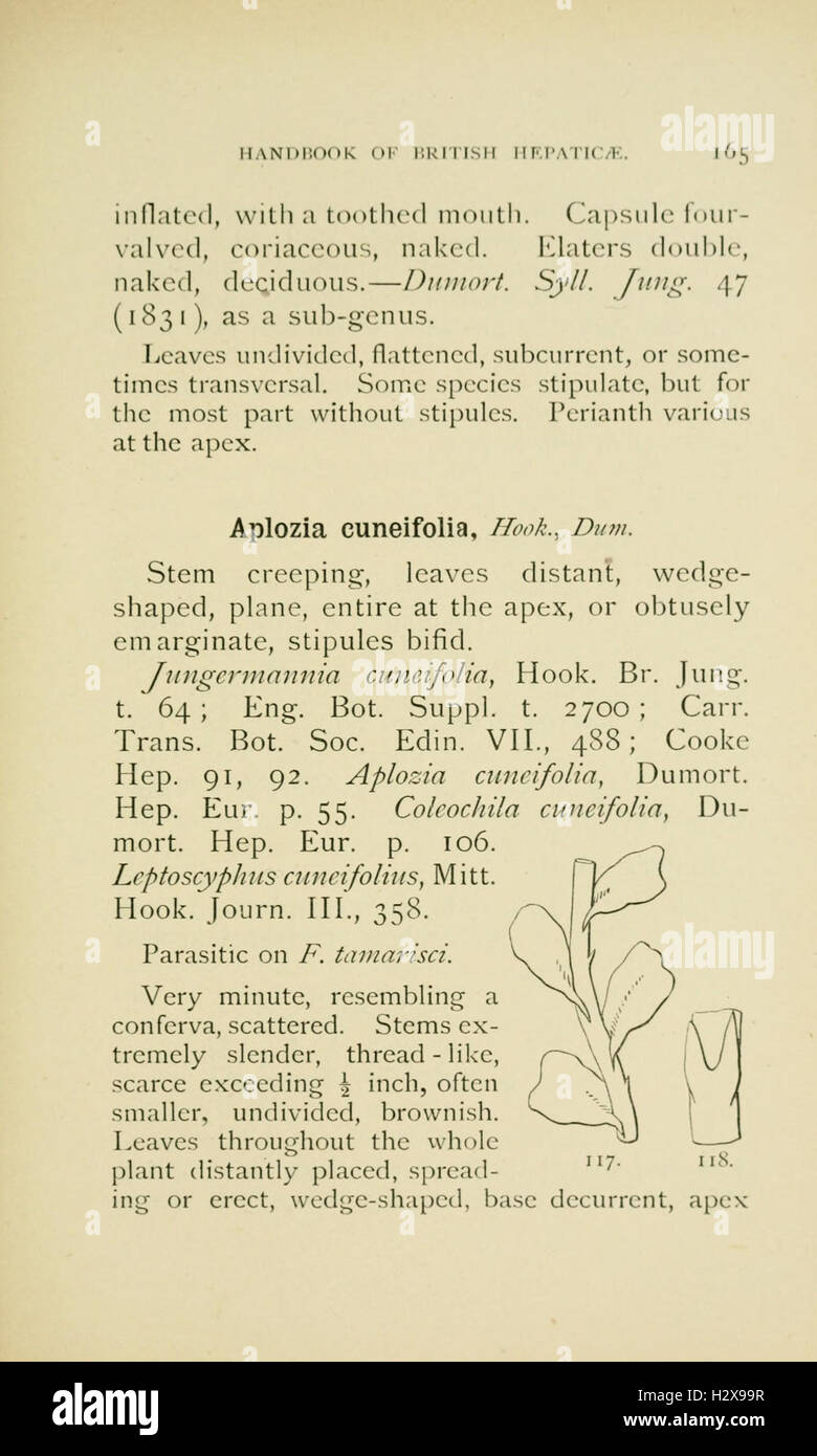 A handbook providing detailed descriptions and figures of British ...