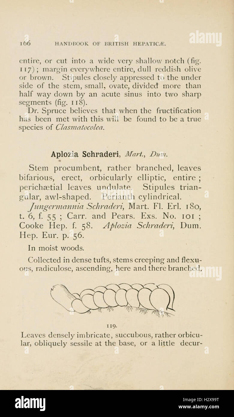 This page from the Handbook of British Hepatic presents descriptions ...