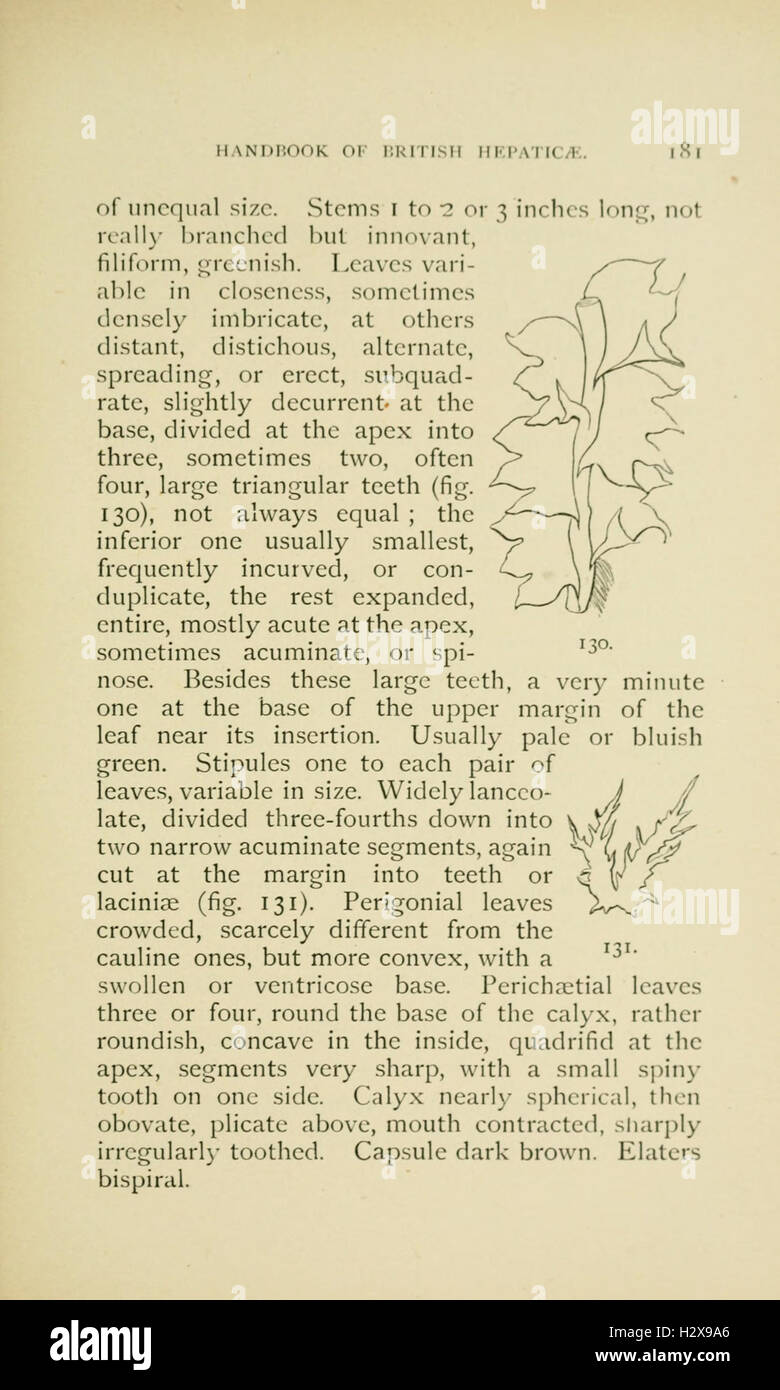 A comprehensive guide to British liverwort species, including ...