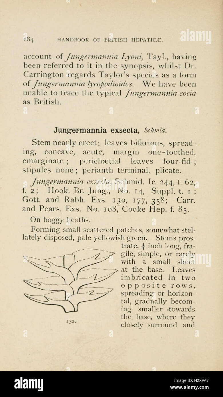A comprehensive guide to British liverworts, featuring detailed ...