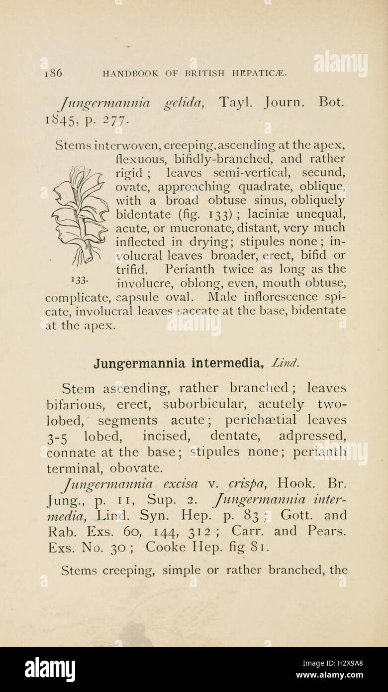 A botanical guide to British liverworts, detailing the species ...