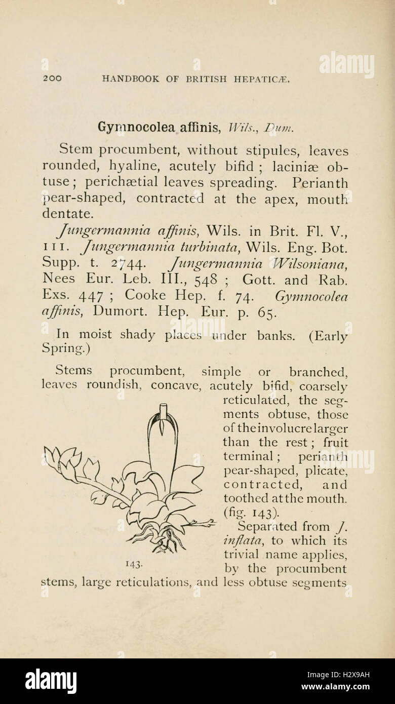 A comprehensive guide on British liverworts, including detailed ...