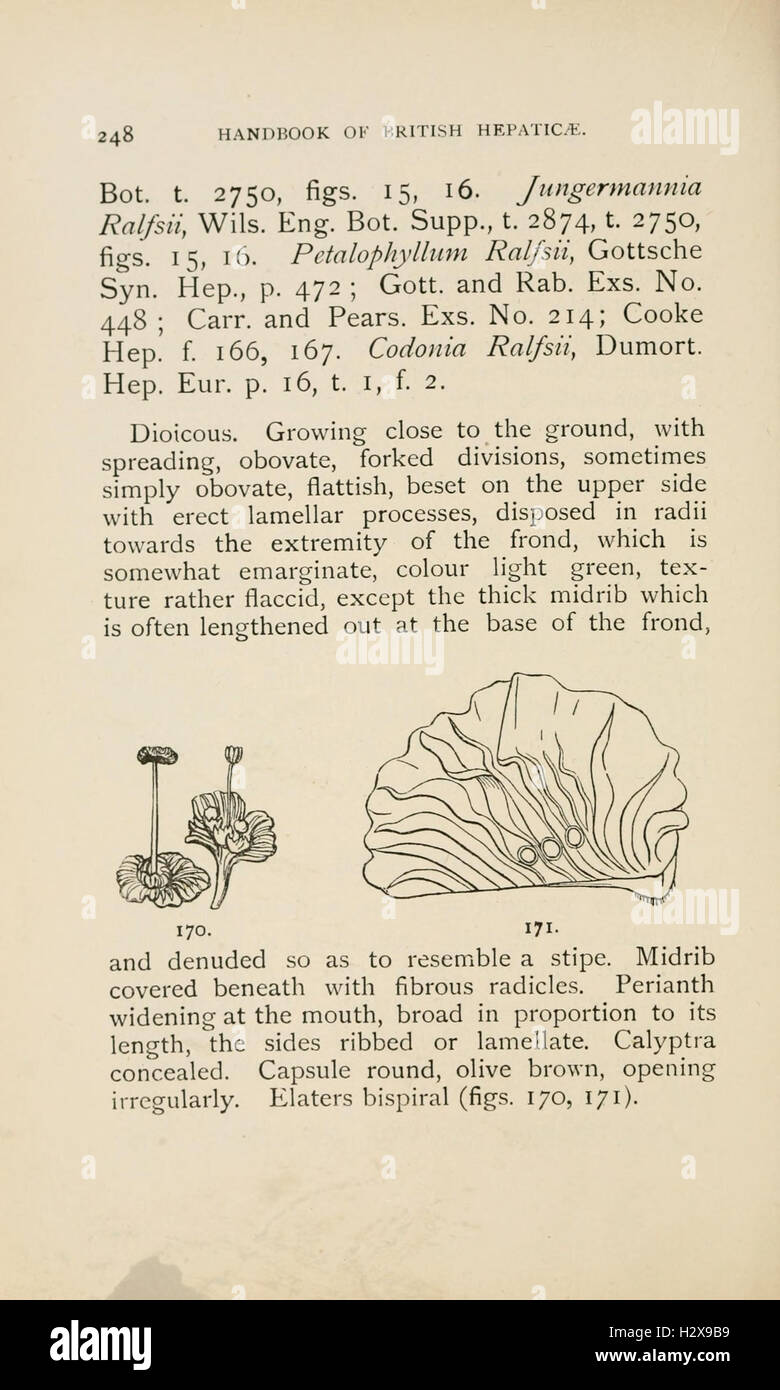A comprehensive guide to the indigenous liverwort species of Britain ...