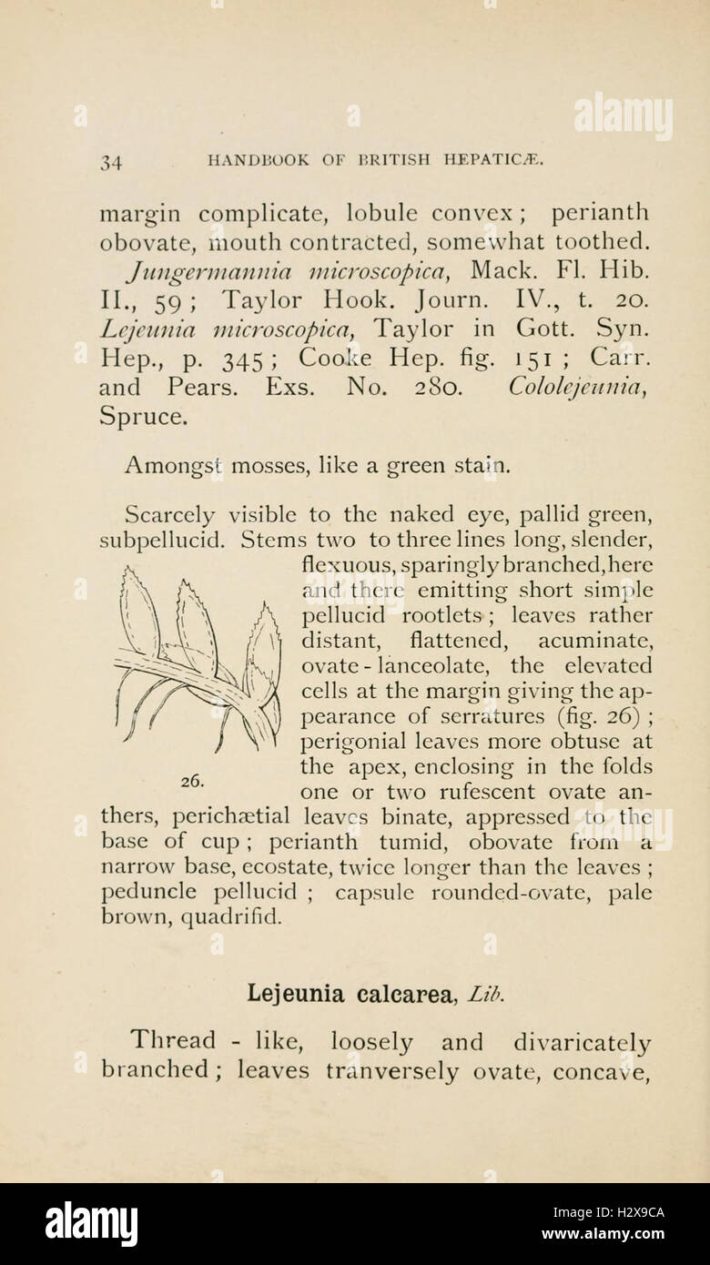 A comprehensive guide on British liverworts, describing native species ...