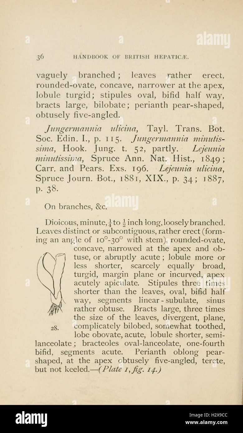 This handbook provides detailed descriptions and illustrations of ...