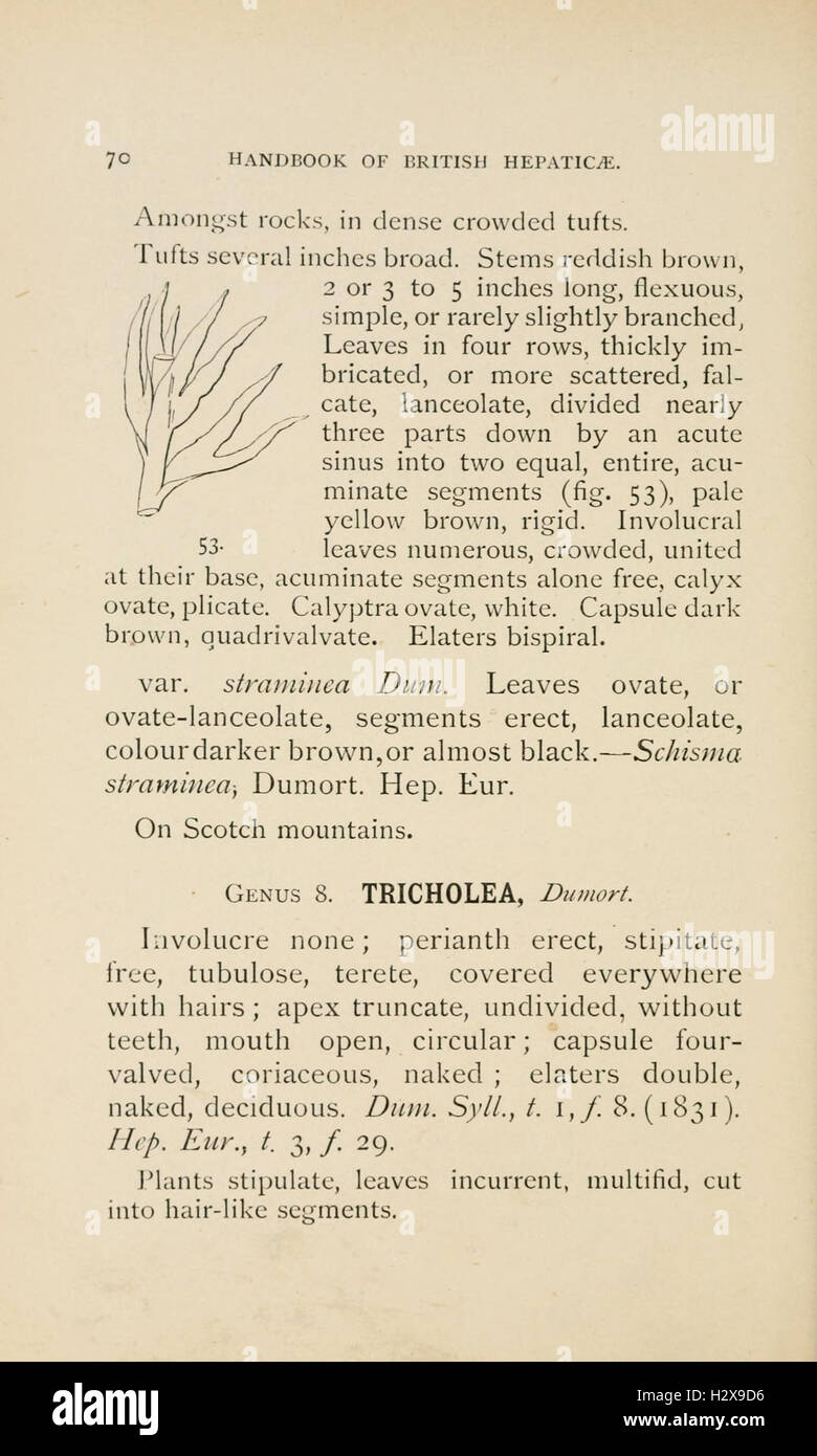 This handbook covers British liverworts, detailing indigenous species ...