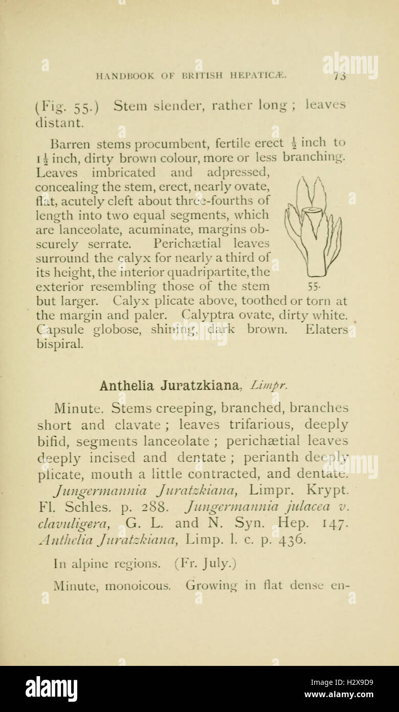 A botanical guide detailing the native British liverwort species ...