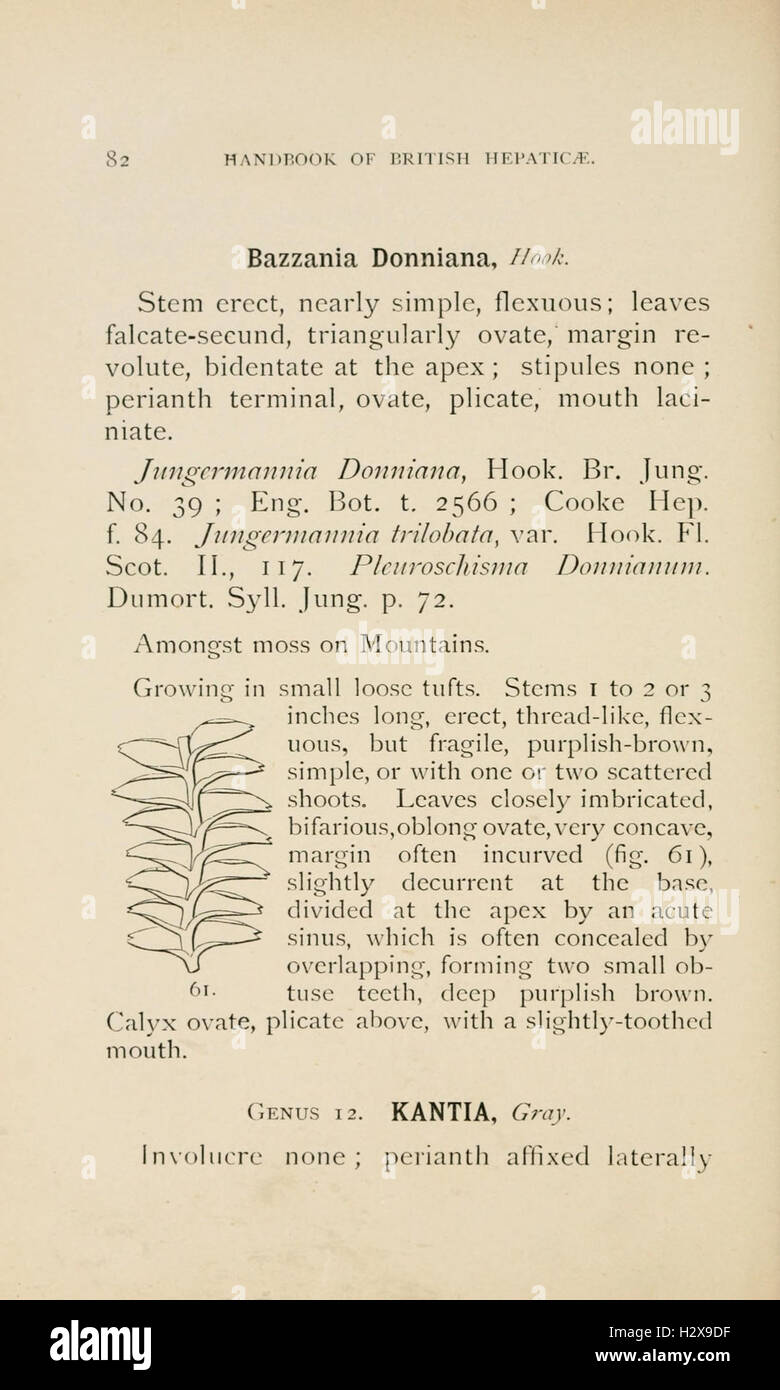 A handbook providing descriptions and illustrations of British ...