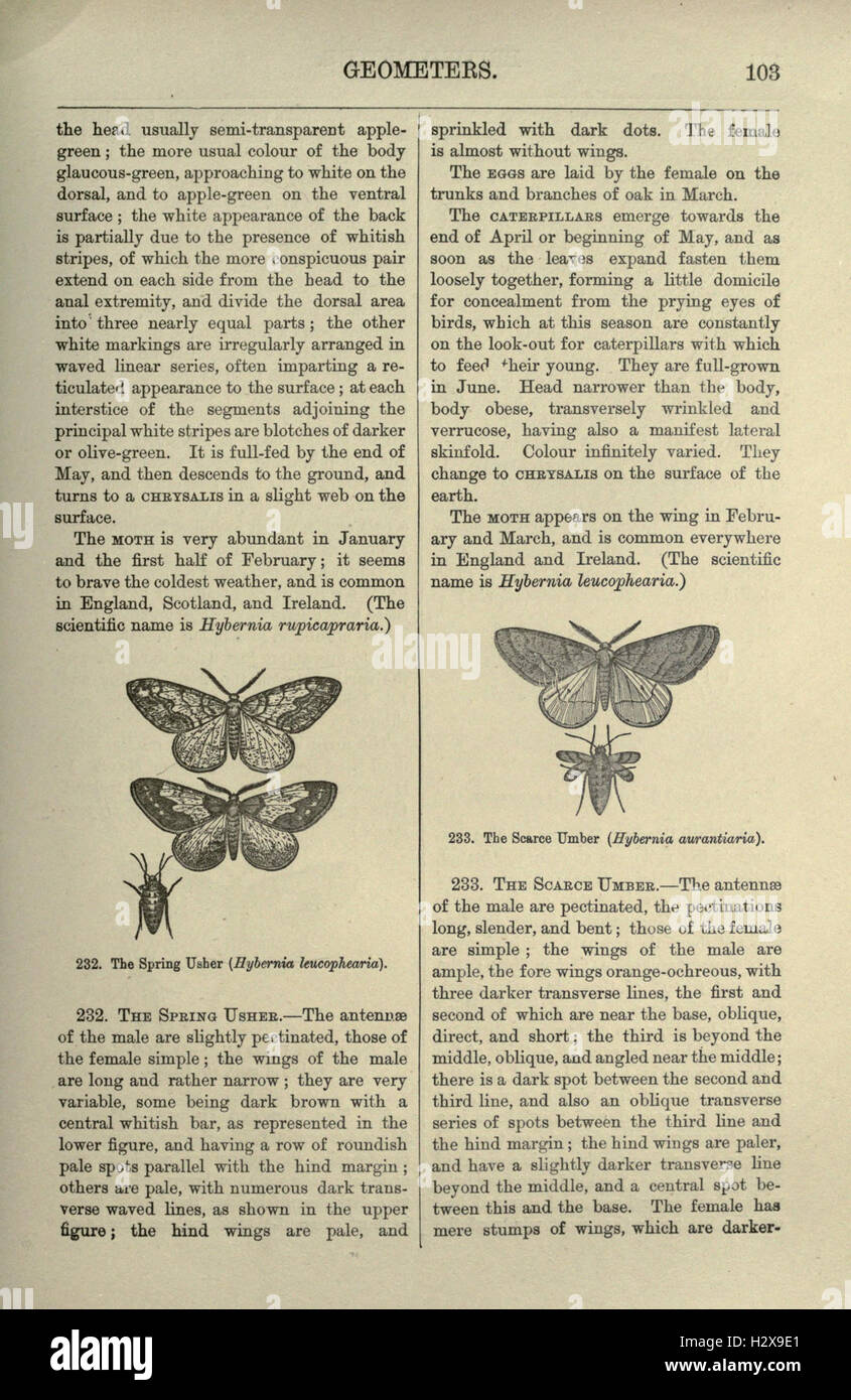 An illustrated guide to the butterflies and moths of Britain ...