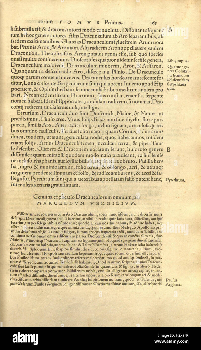 This botanical work by Otto Brunfels focuses on the detailed ...