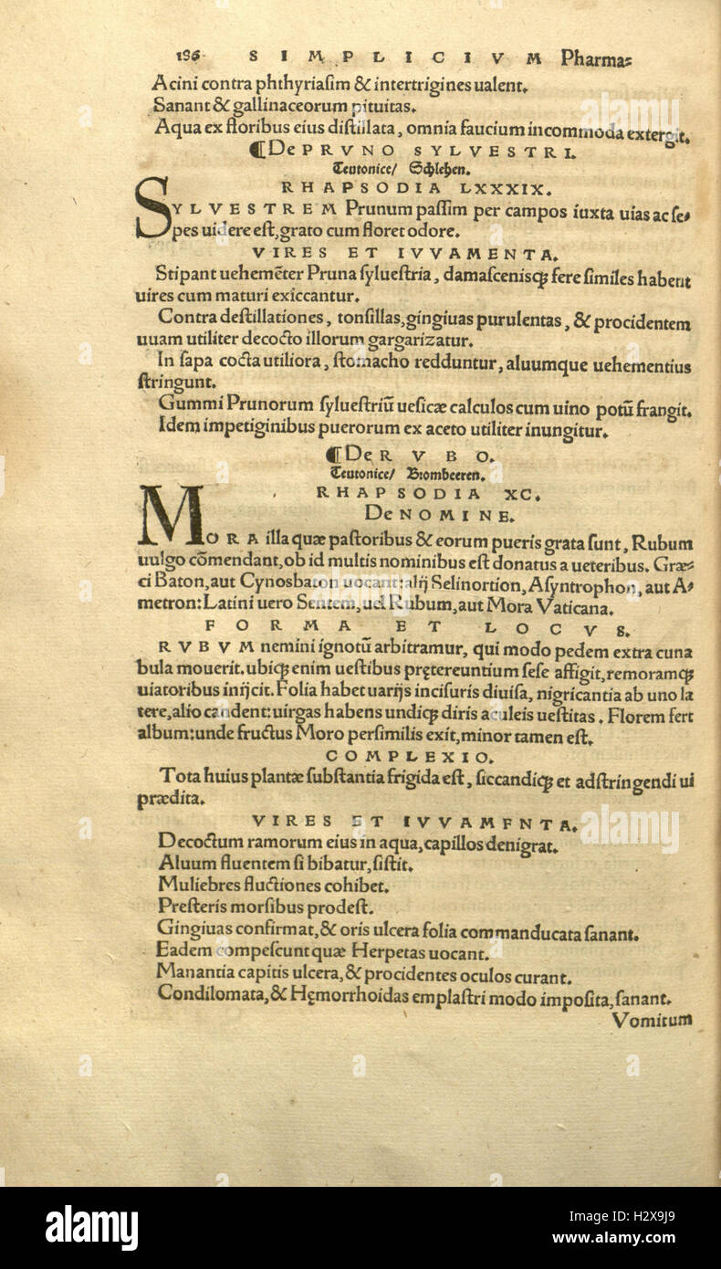 This page discusses the detailed botanical work of Otto Brunfels ...