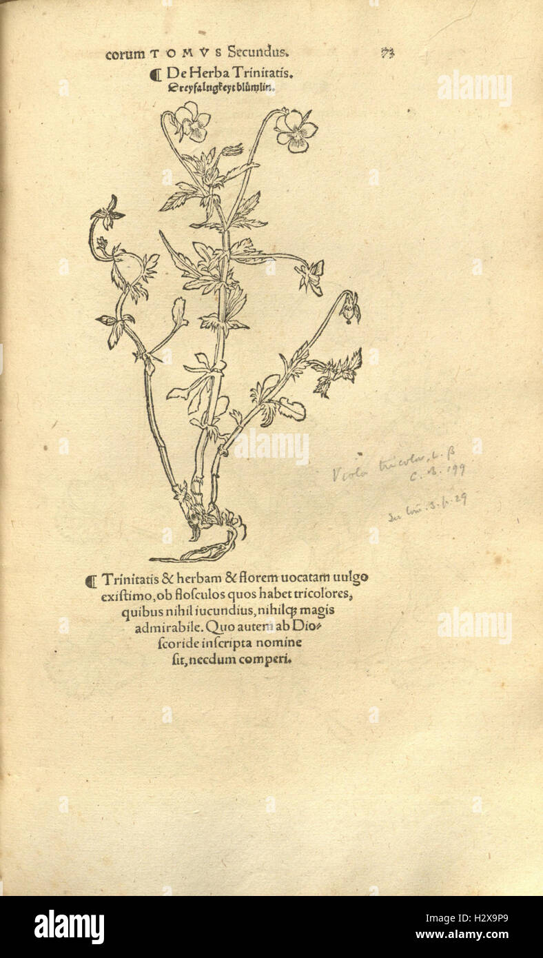 This work is a comprehensive herbarium by Otho Brunfels, detailing ...