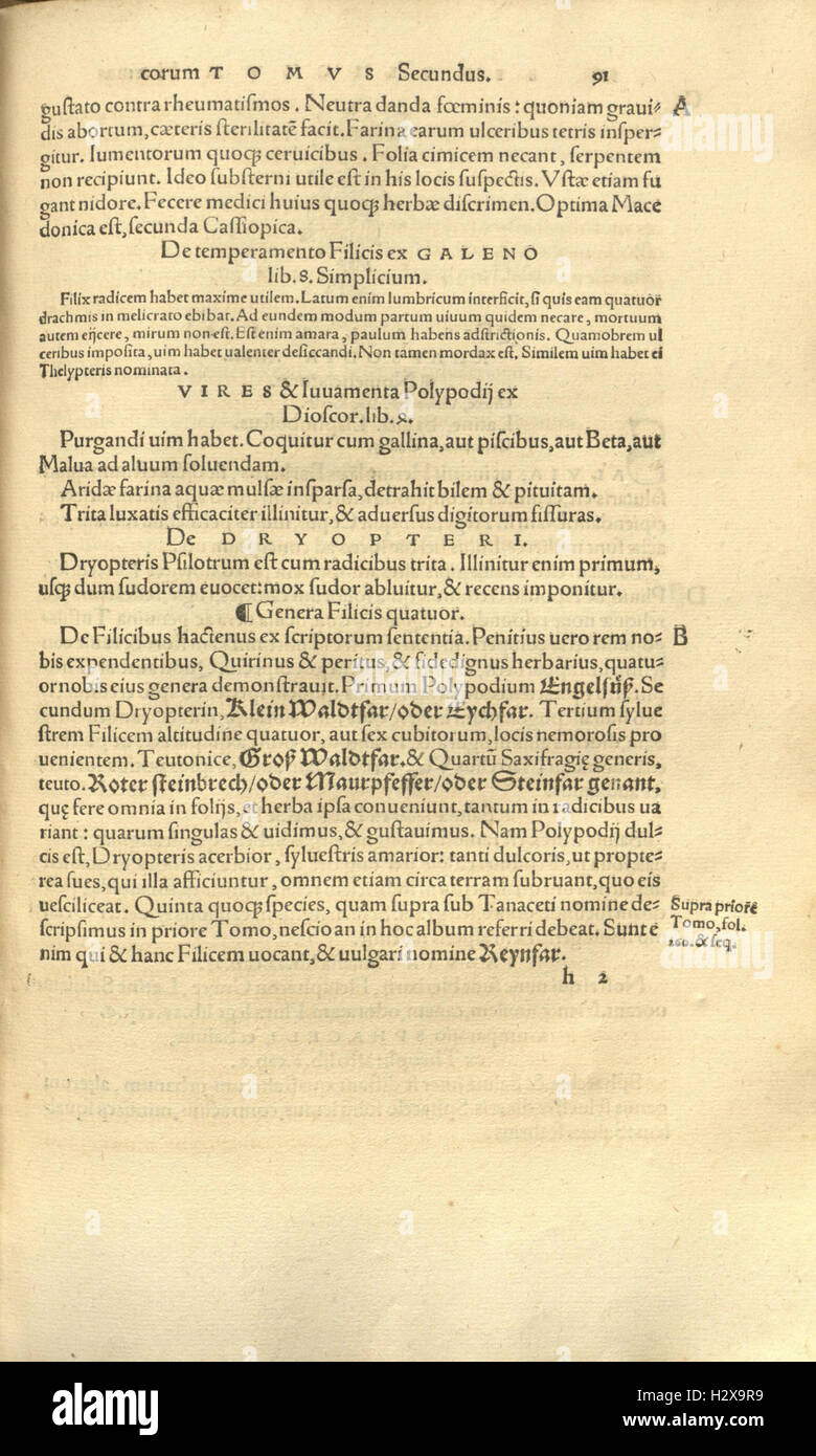 A detailed botanical work by Otto Brunfels, focusing on medicinal ...