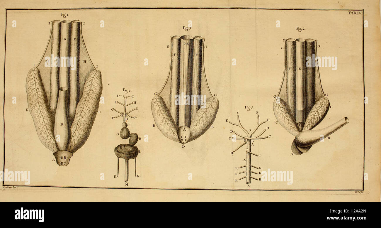 This work covers the natural history of fish, providing an in-depth ...