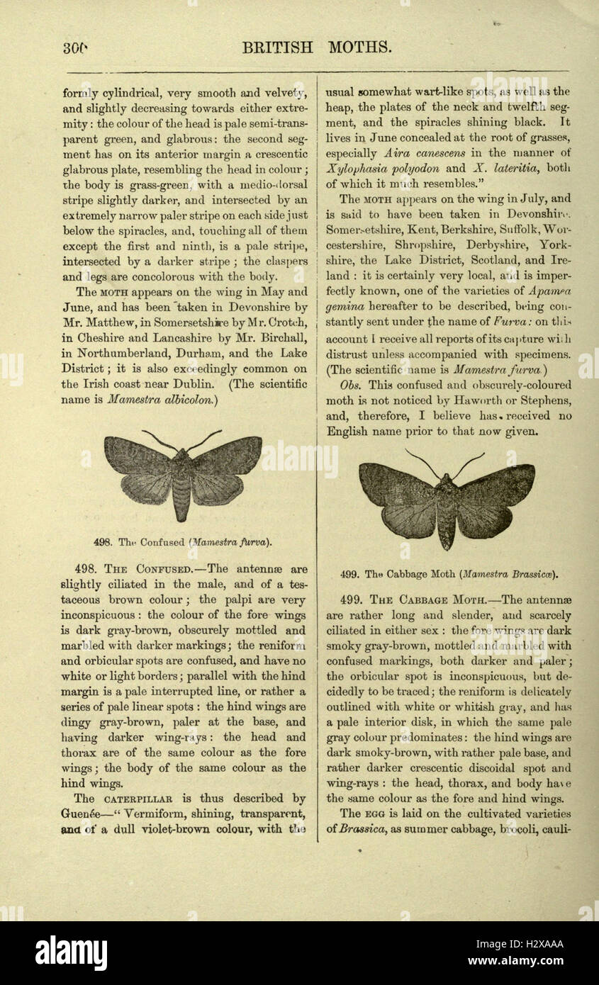 An illustrated natural history of British butterflies and moths (Page ...