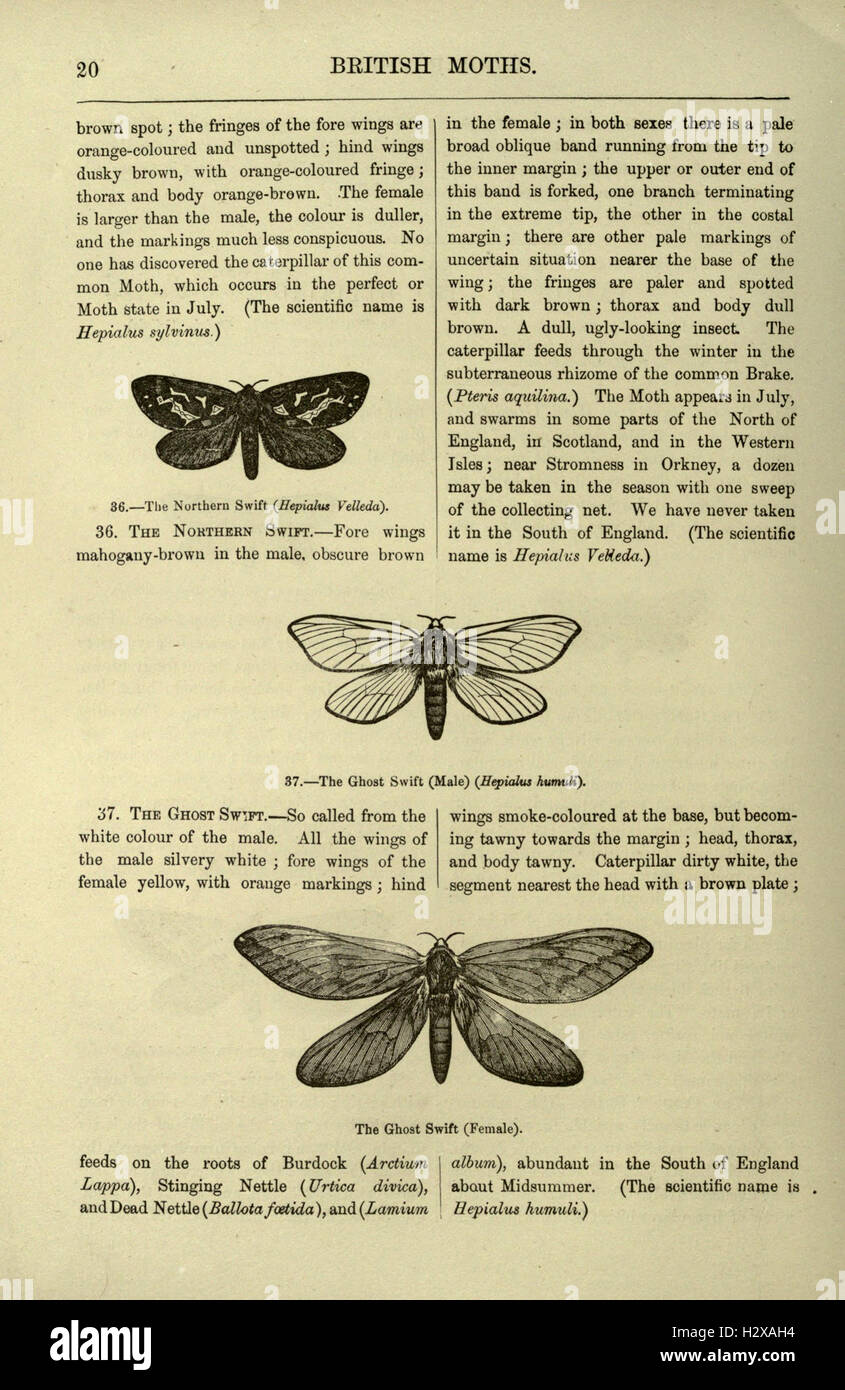 This illustrated guide provides detailed information on British ...