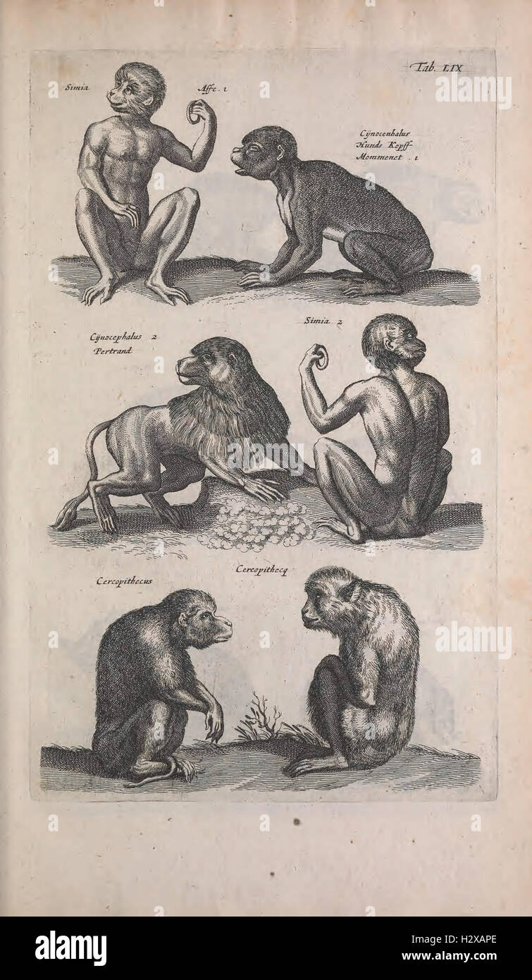 A work detailing the natural history of quadrupeds, including ...