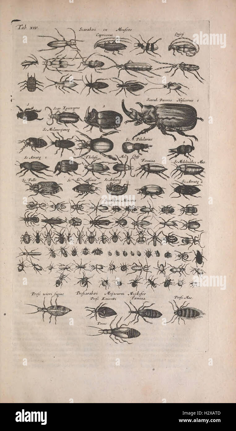 A natural history book, 'Historiae naturalis de quadrupedibus ...