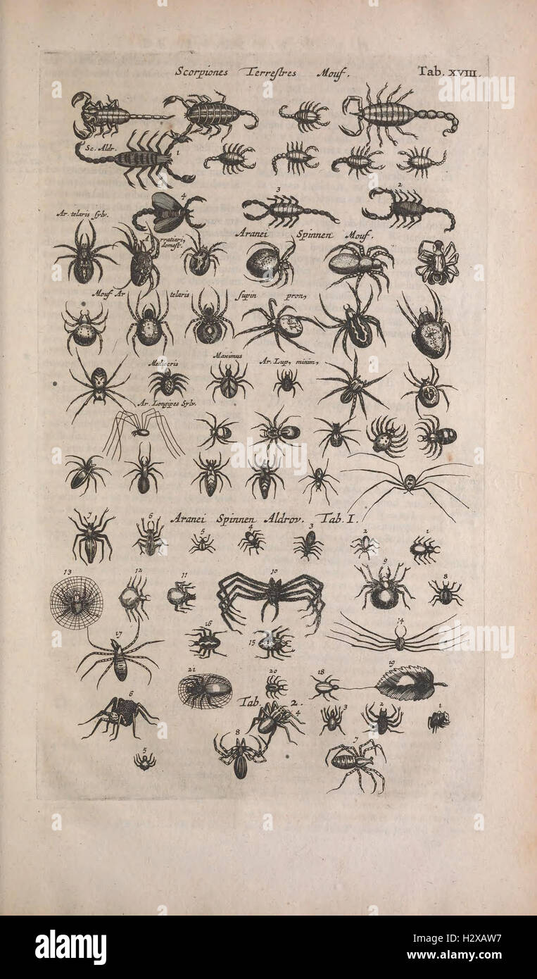 This work provides natural history accounts of quadrupeds, focusing on ...