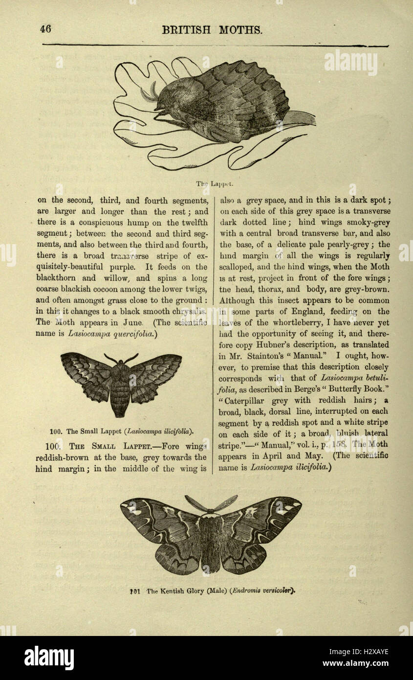 An illustrated guide to British butterflies and moths, focusing on ...