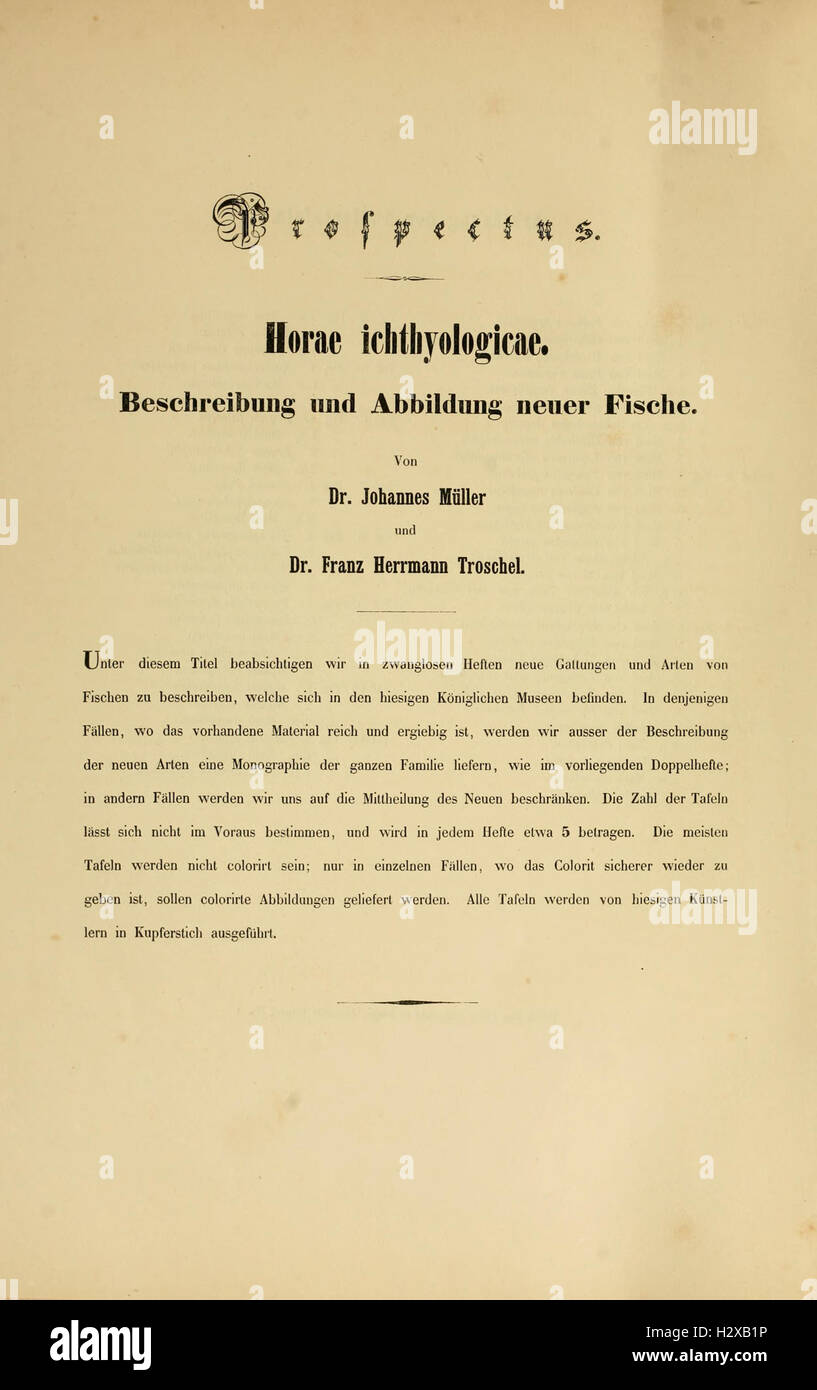 This work focuses on the ichthyology of fish species, detailing their ...
