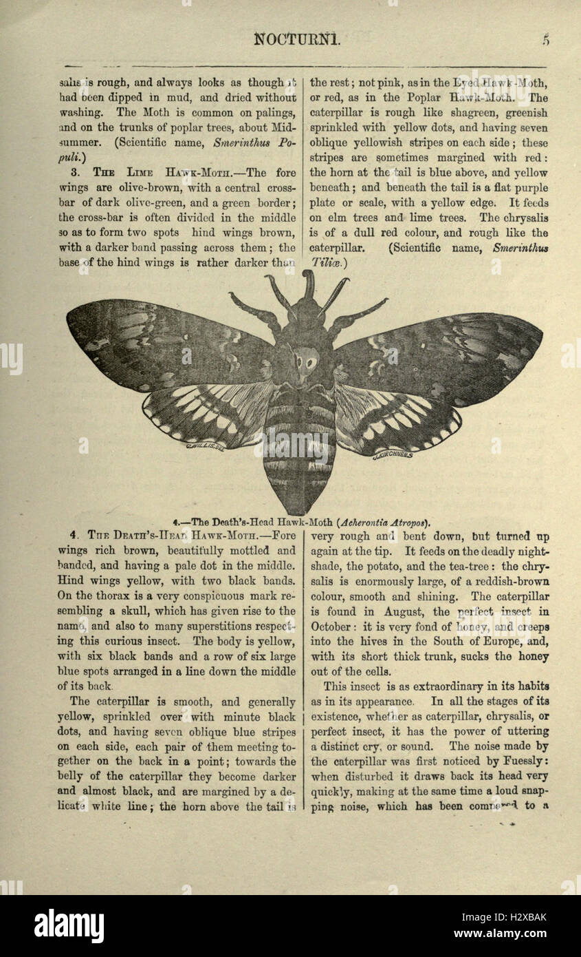 An illustrated guide to the butterflies and moths of Britain, with ...