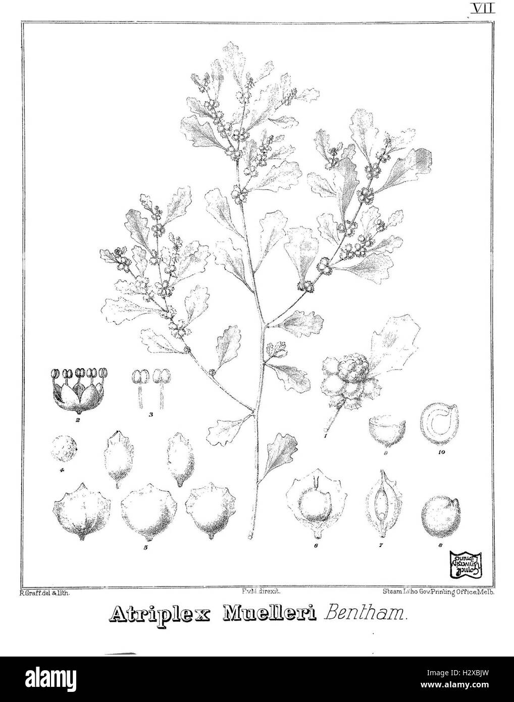 Flagellation or whipping iconography Cut Out Stock Images & Pictures ...