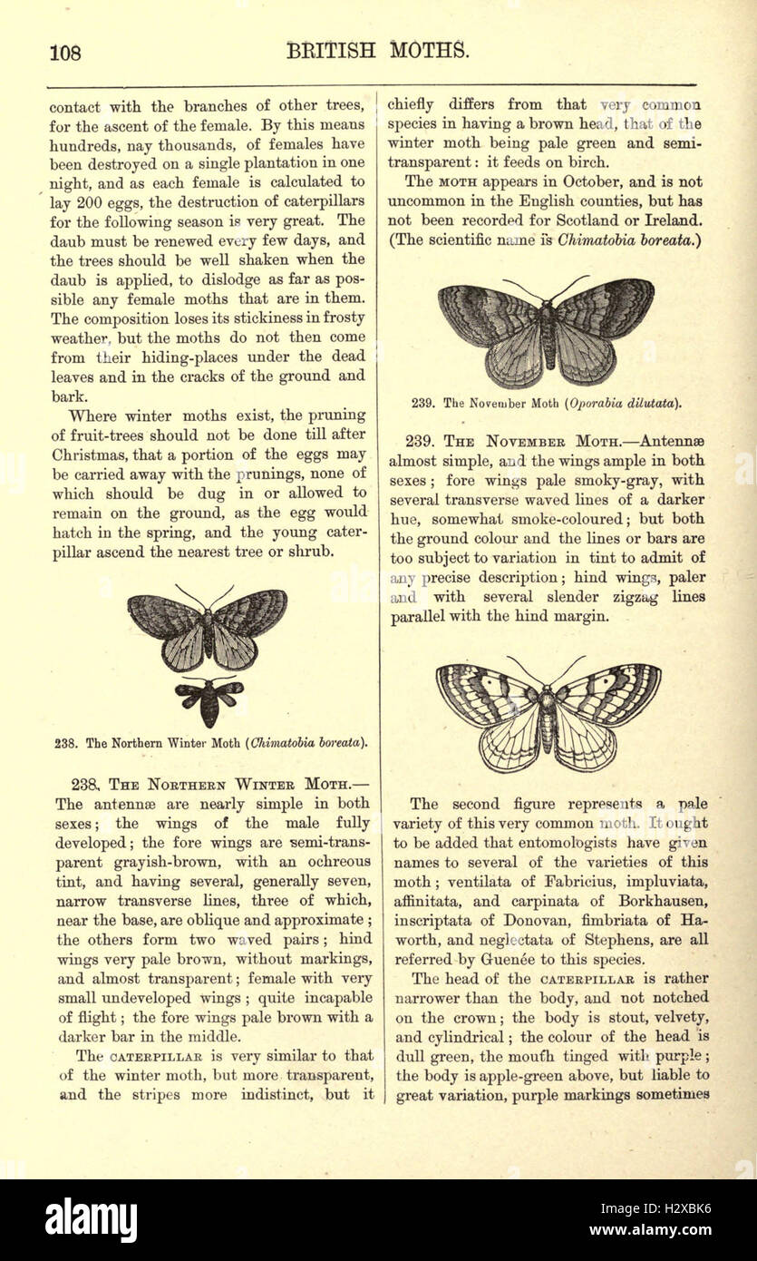 An illustrated guide to British butterflies and moths, providing ...