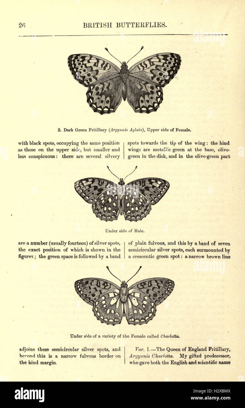 This illustrated guide provides detailed descriptions of British ...