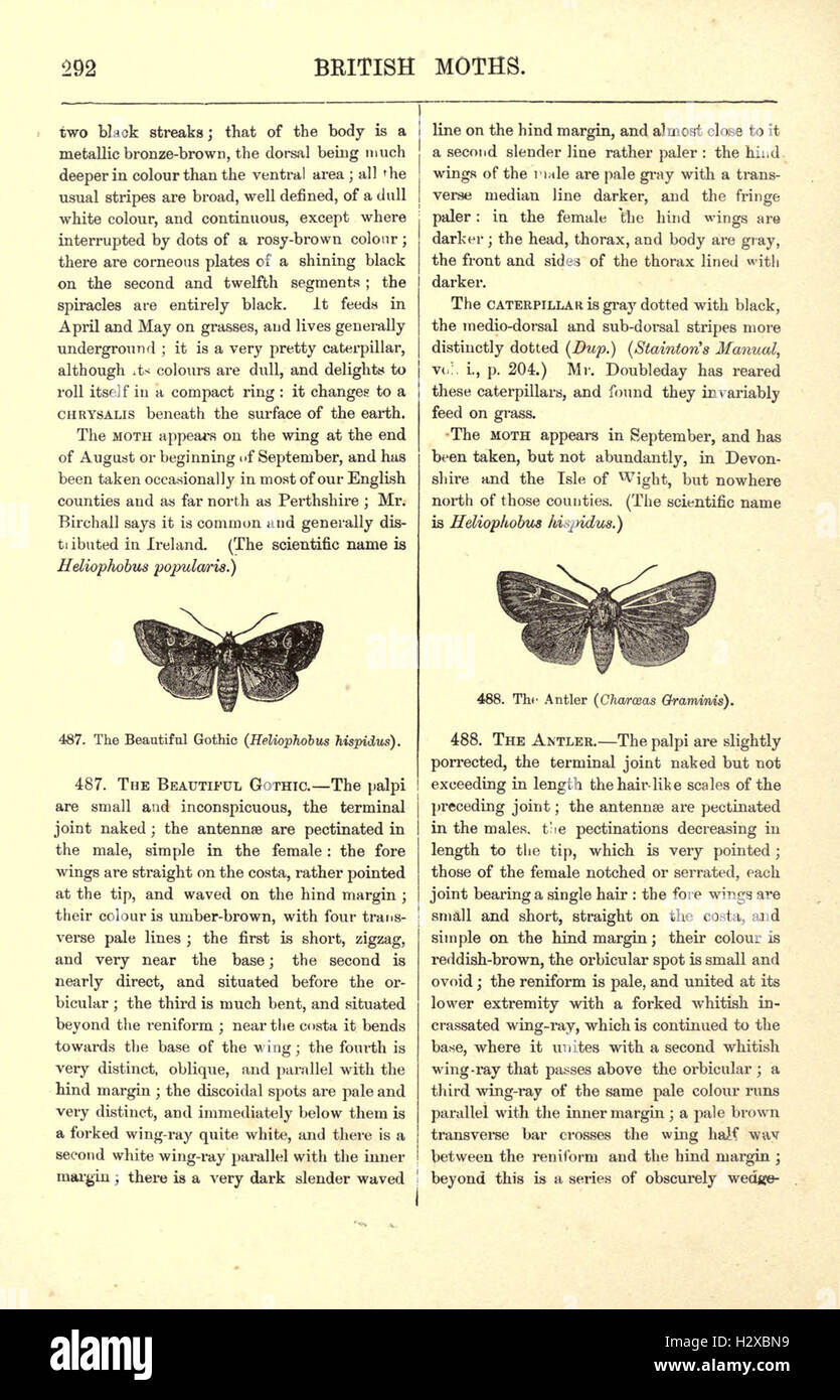 An illustrated guide to British butterflies and moths, providing ...