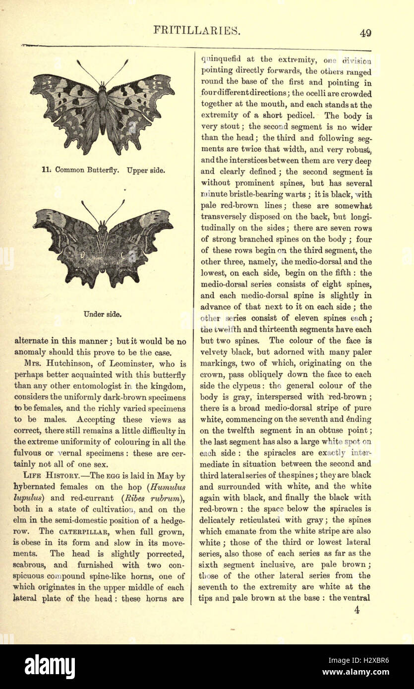 An illustrated guide to the butterflies and moths of Britain, detailing ...