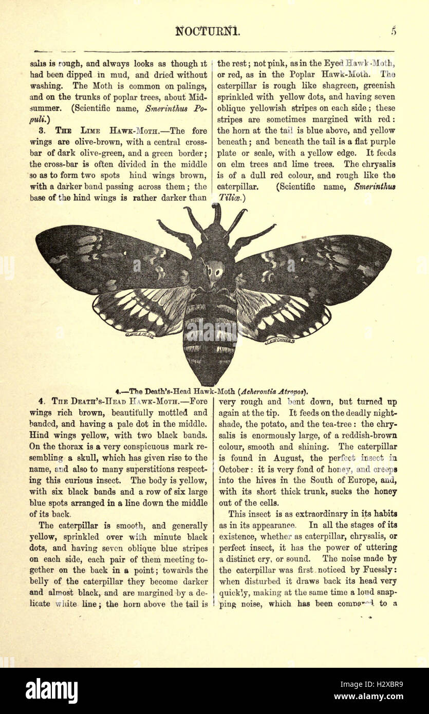This illustrated guide provides a detailed account of British ...